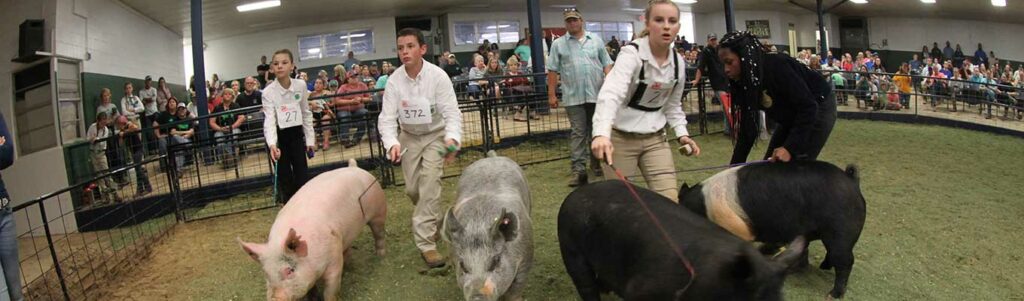 Southeastern Youth Fair – Feb 23 – Mar 4, 2023