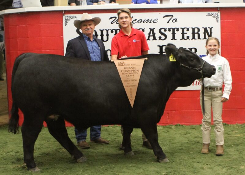 Market Steer Program | Southeastern Youth Fair