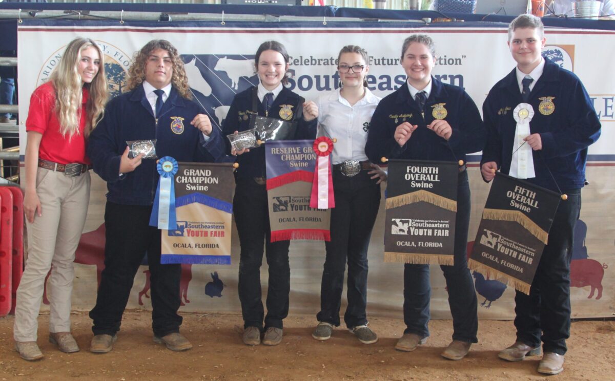 Market Swine Program | Southeastern Youth Fair