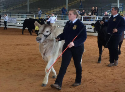 2025 Southeastern Youth Fair