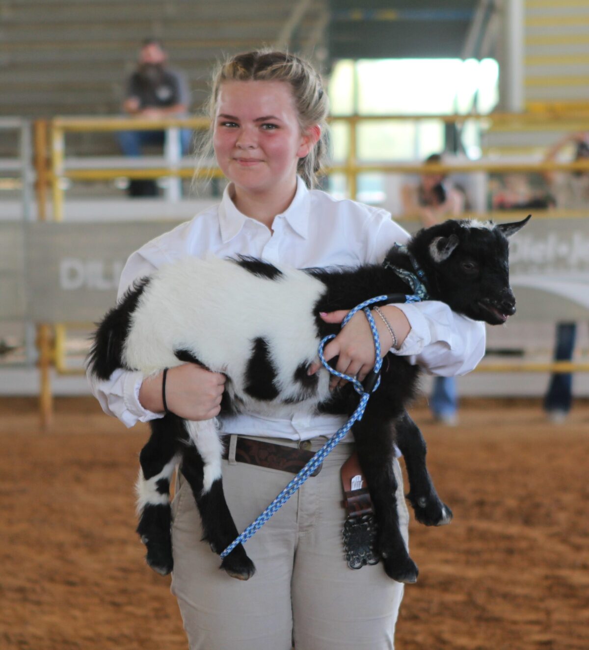 Dairy Goat Show | Southeastern Youth Fair